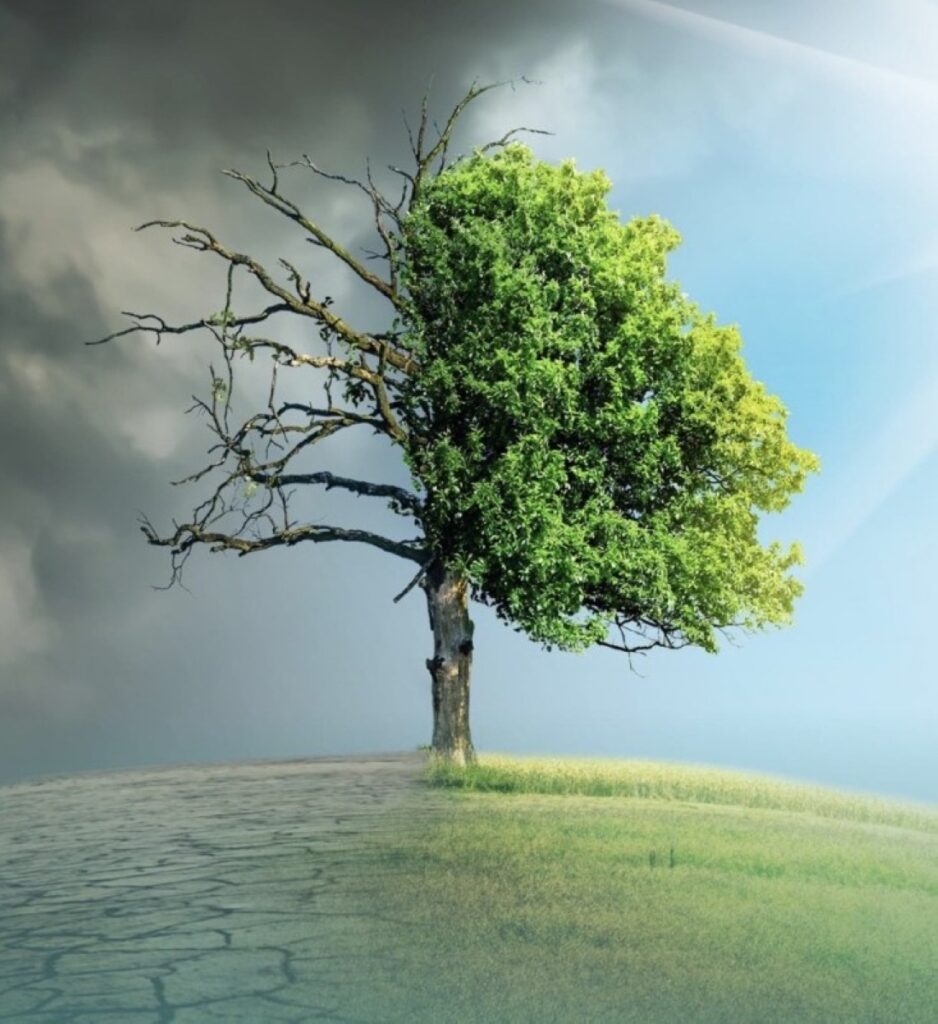 Saudi Environmental Law: Protection of Natural Resources